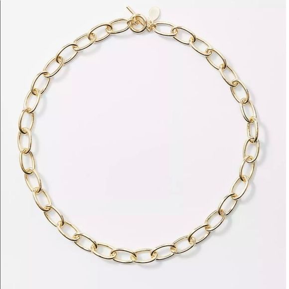 LOFT | Jewelry | Loft Chain Link Necklace | Poshmark